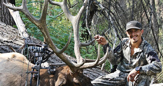 How To Get An Elk Tag (or two!) Every Year – Exo Mtn Gear